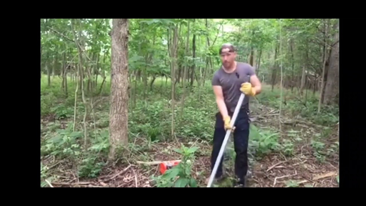 Moon-Struck Land Management - Pullerbear Pro XL - YouTube