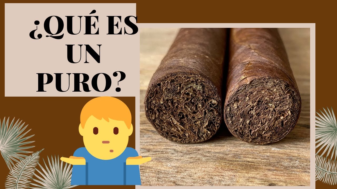 🤔 ¿Qué son los puros? 🔴 - YouTube
