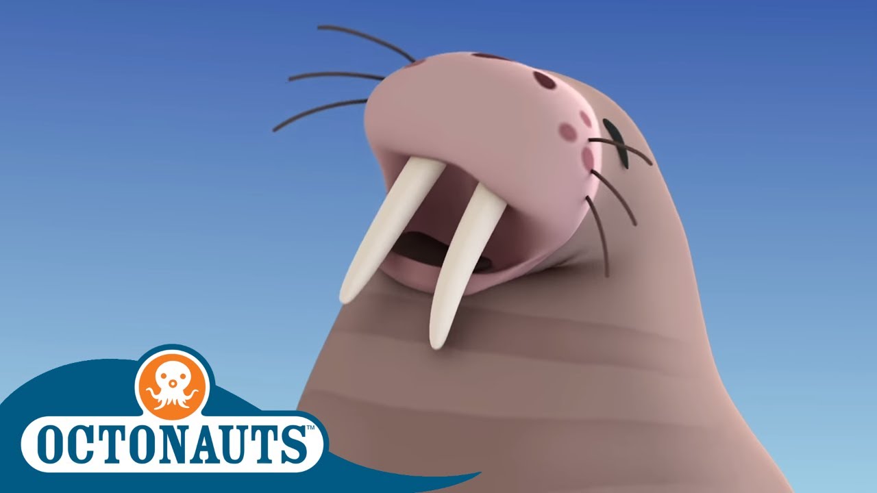 Octonauts - Close Call With Walrus Chef | Cartoons for Kids ...