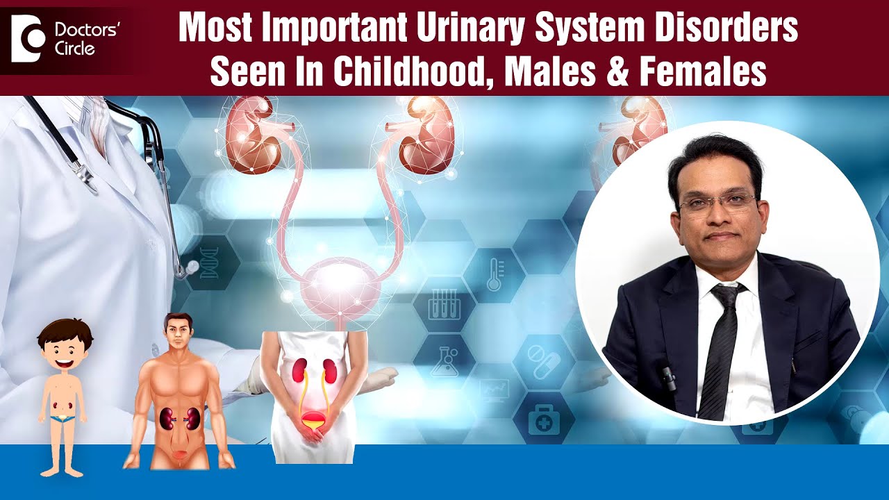 Important Urinary Problems in Children, Adult Male & Female | UTI - Dr ...