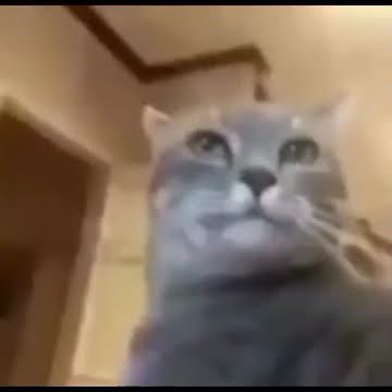 que te pegue unos 50 tablazos - YouTube