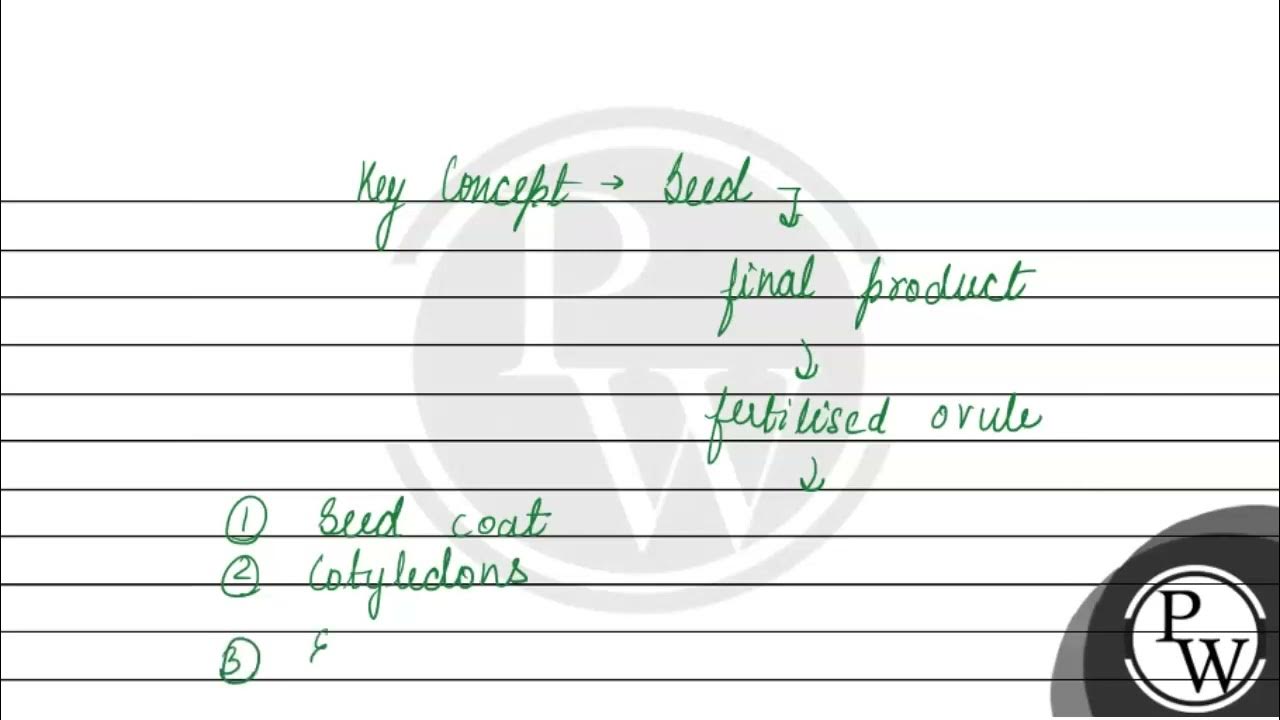 Mark The Correct Choice As 1 Both Statement I And Statement Ii Are