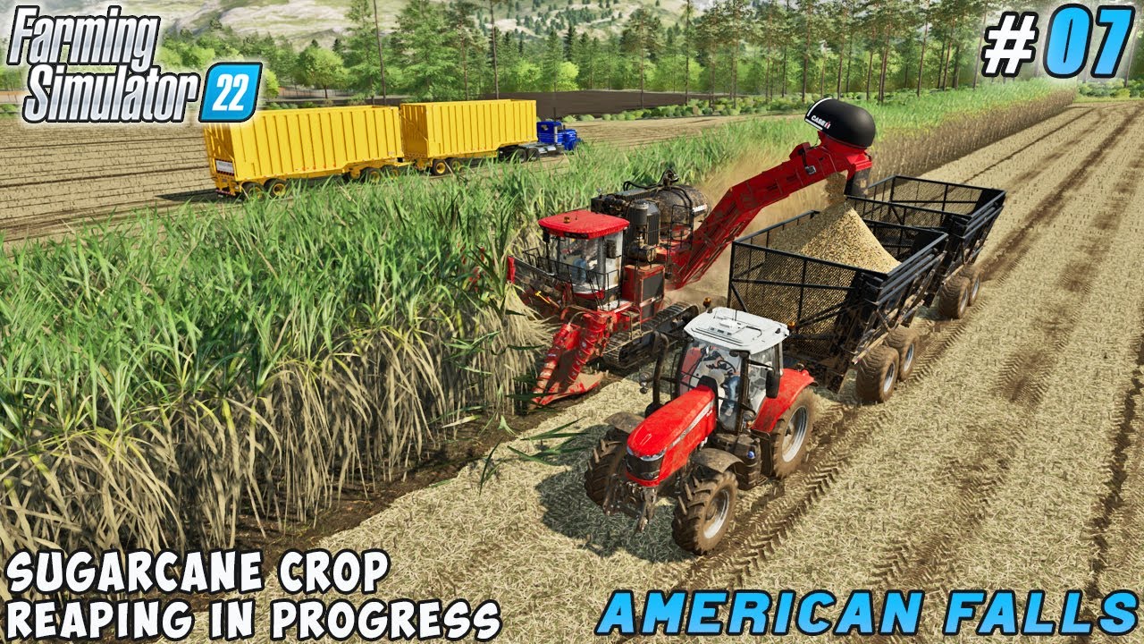 Successful Execution of the Sugar Cane Harvesting Contract | American ...