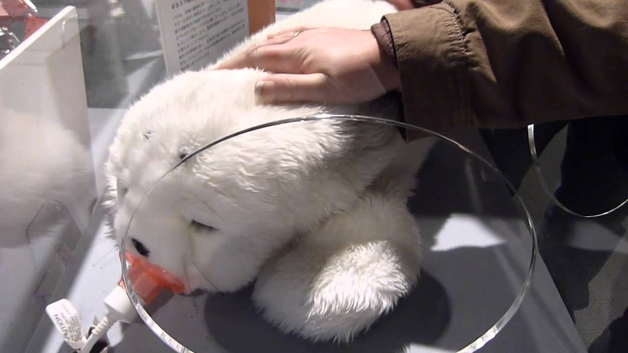 Paro the Japanese 'Comfort Robot' - YouTube