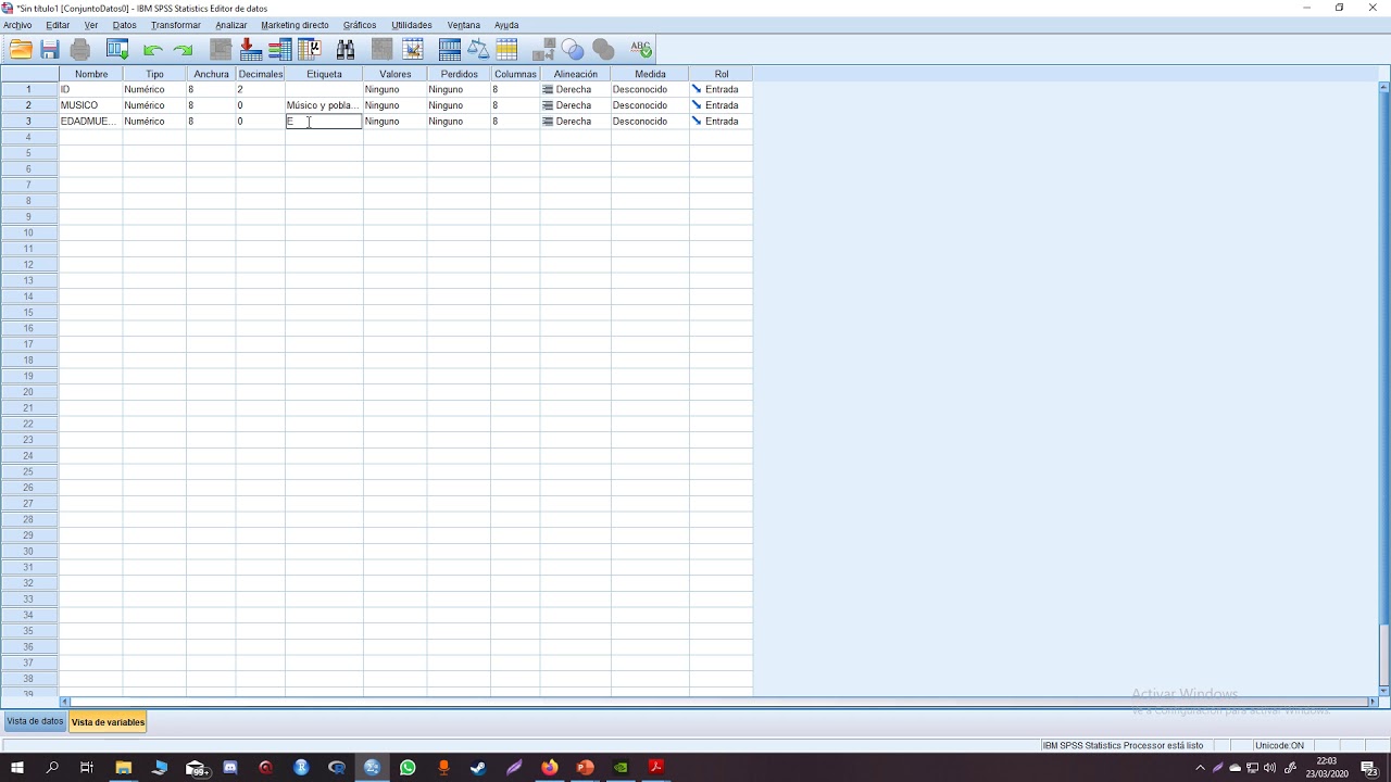 Vista de variables IBM SPSS - YouTube