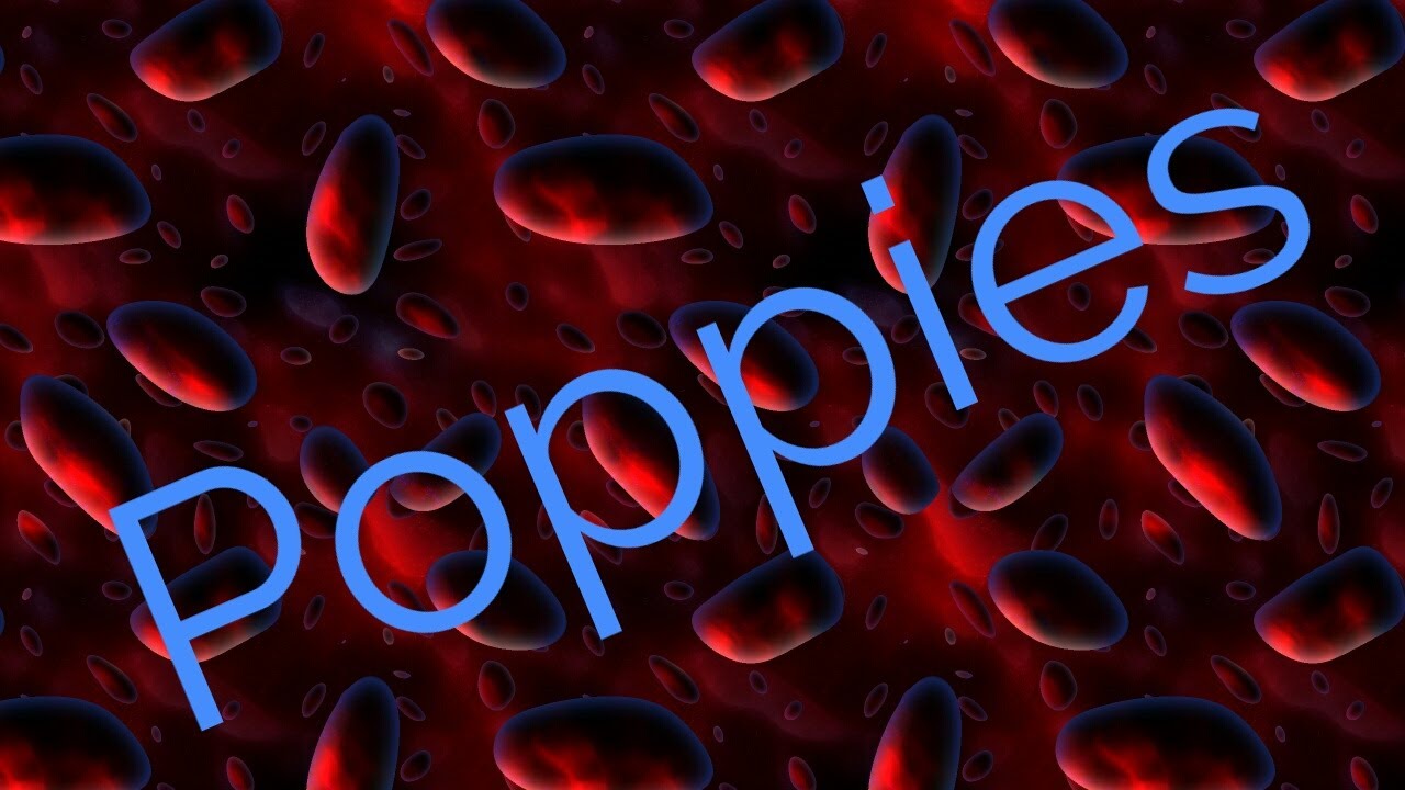 Poppies - Context - YouTube