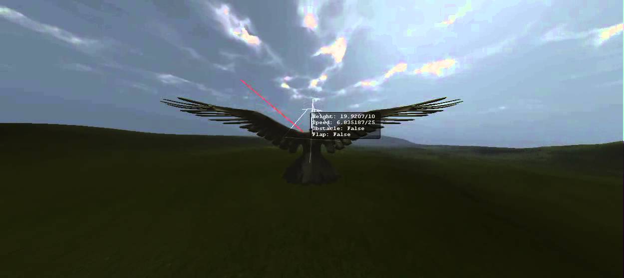 Bird physics and AI - YouTube