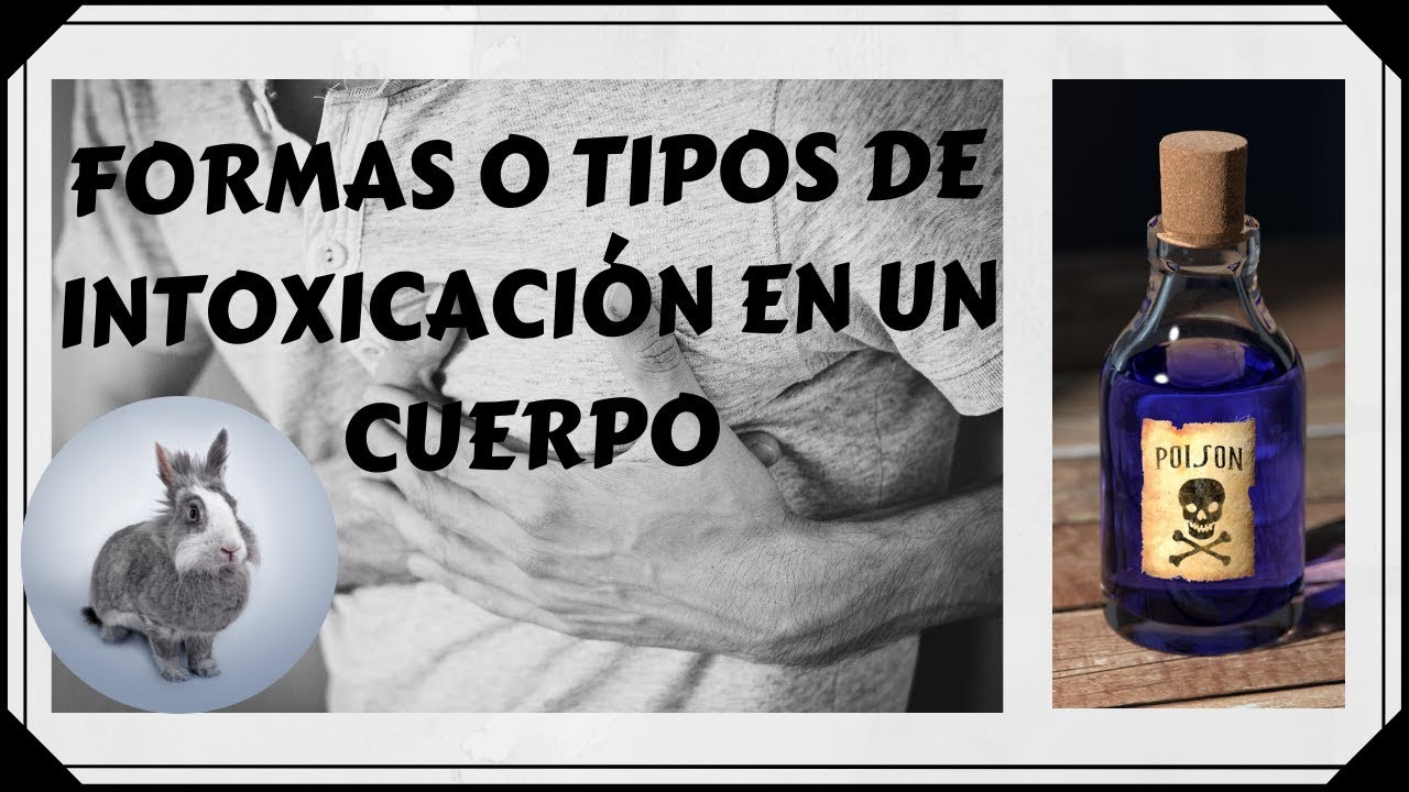 Formas o tipos de intoxicación en un cuerpo - YouTube