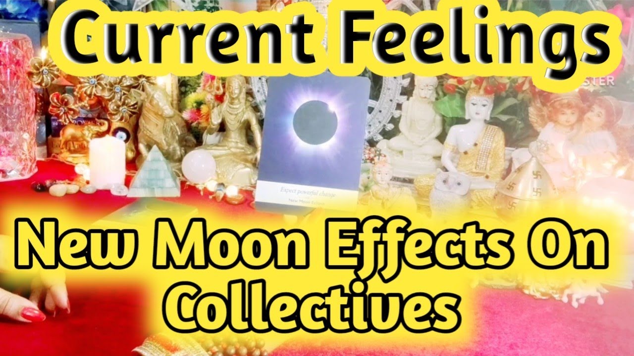 New🌙Moon Effects On Collective Energy 💚💛Current Feelings Next Action 🥰 ...