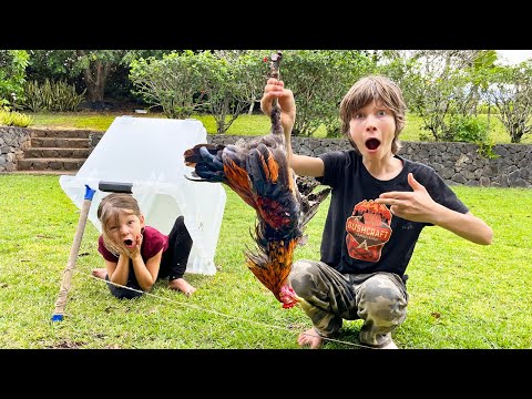 WILD CHICKEN CATCH AND COOK - HOW TO TRAP WILD ANIMALS FOR SURVIVAL