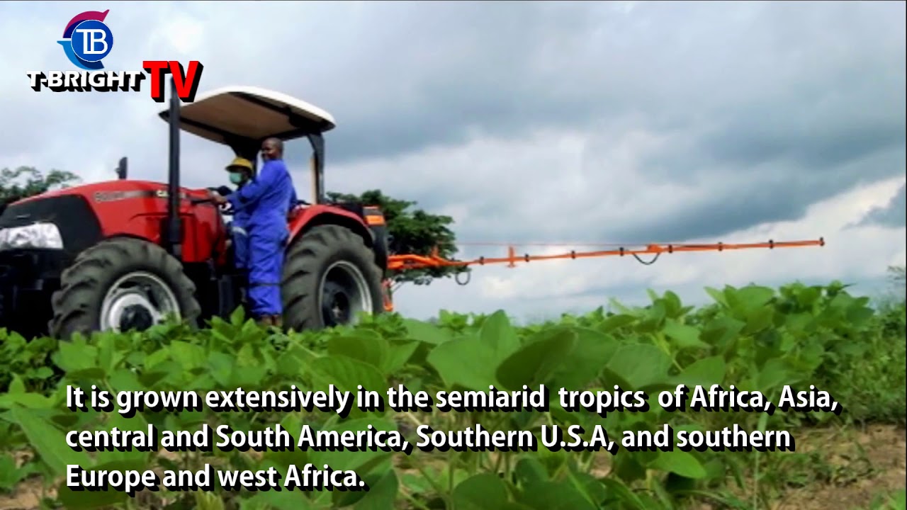 HOW TO USE BOOM SPRAYER TO SPRAY INSECTICIDE ON CROPS USING A TRACTOR ...
