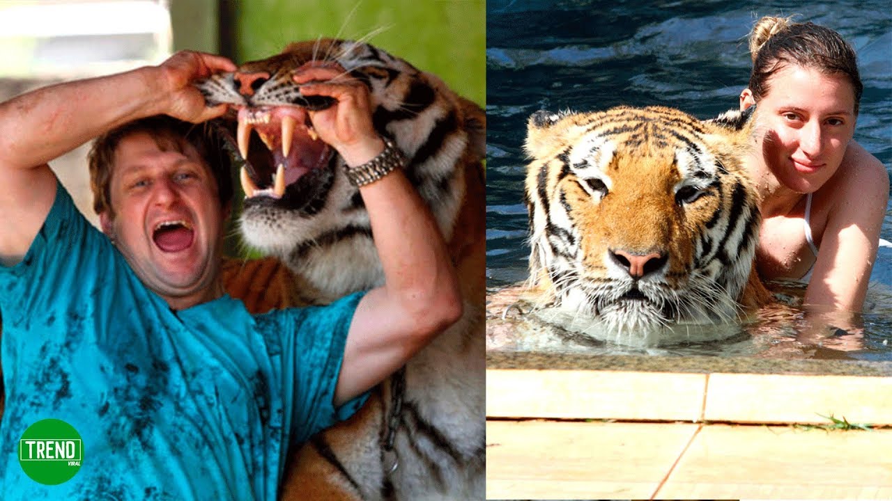 La familia que vive con 7 TIGRES en su casa! | Trend Viral - YouTube