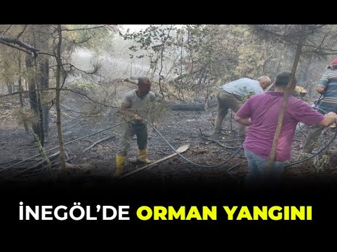 İnegöl’de orman yangını