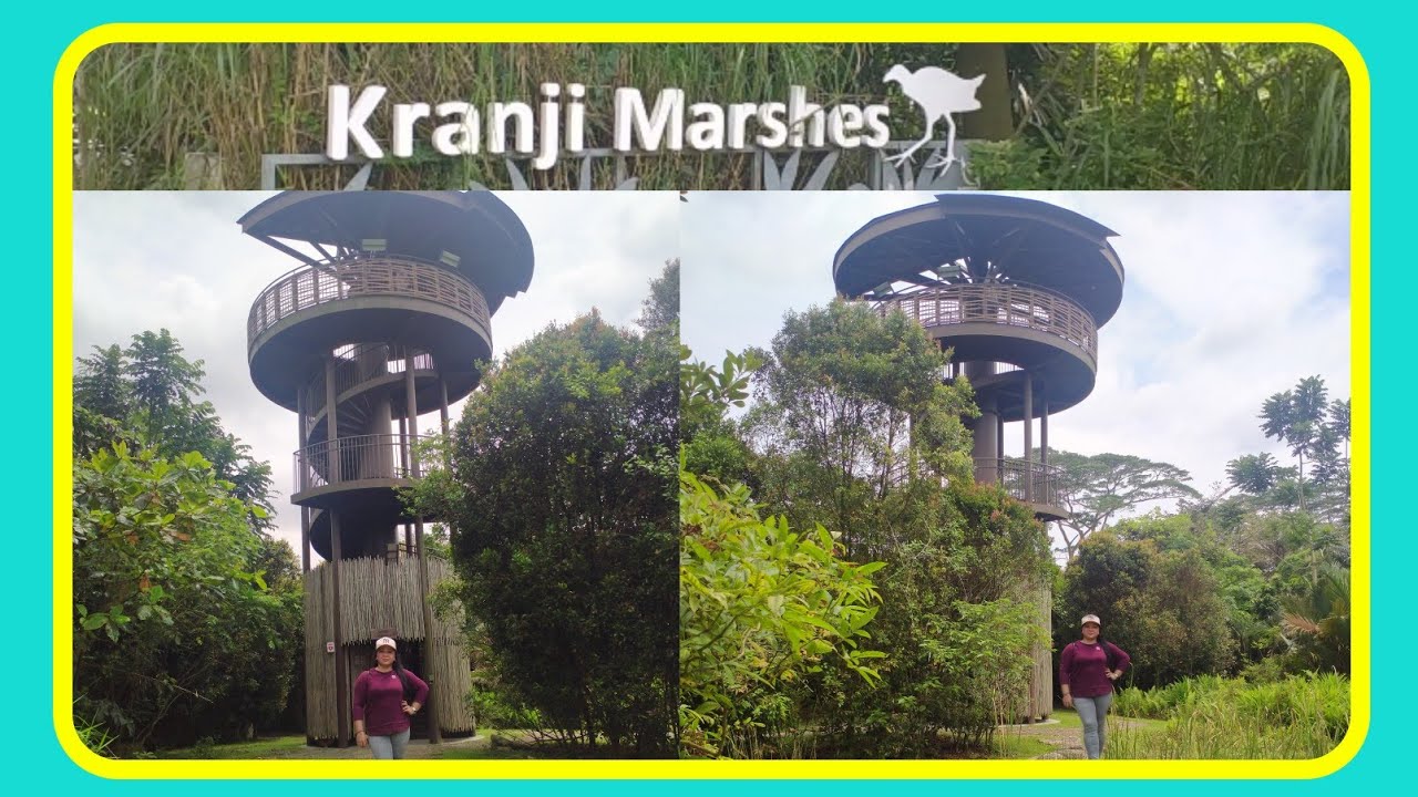 RAPTOR TOWER - KRANJI MARSHES - YouTube