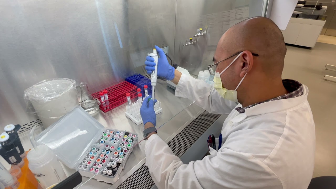 Celebrating National Medical Laboratory Week at Halton Healthcare ...