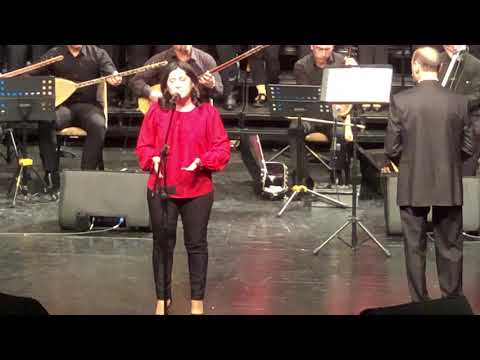 Gene Ben Yandım Dağlar-Feride Biçer Anıl