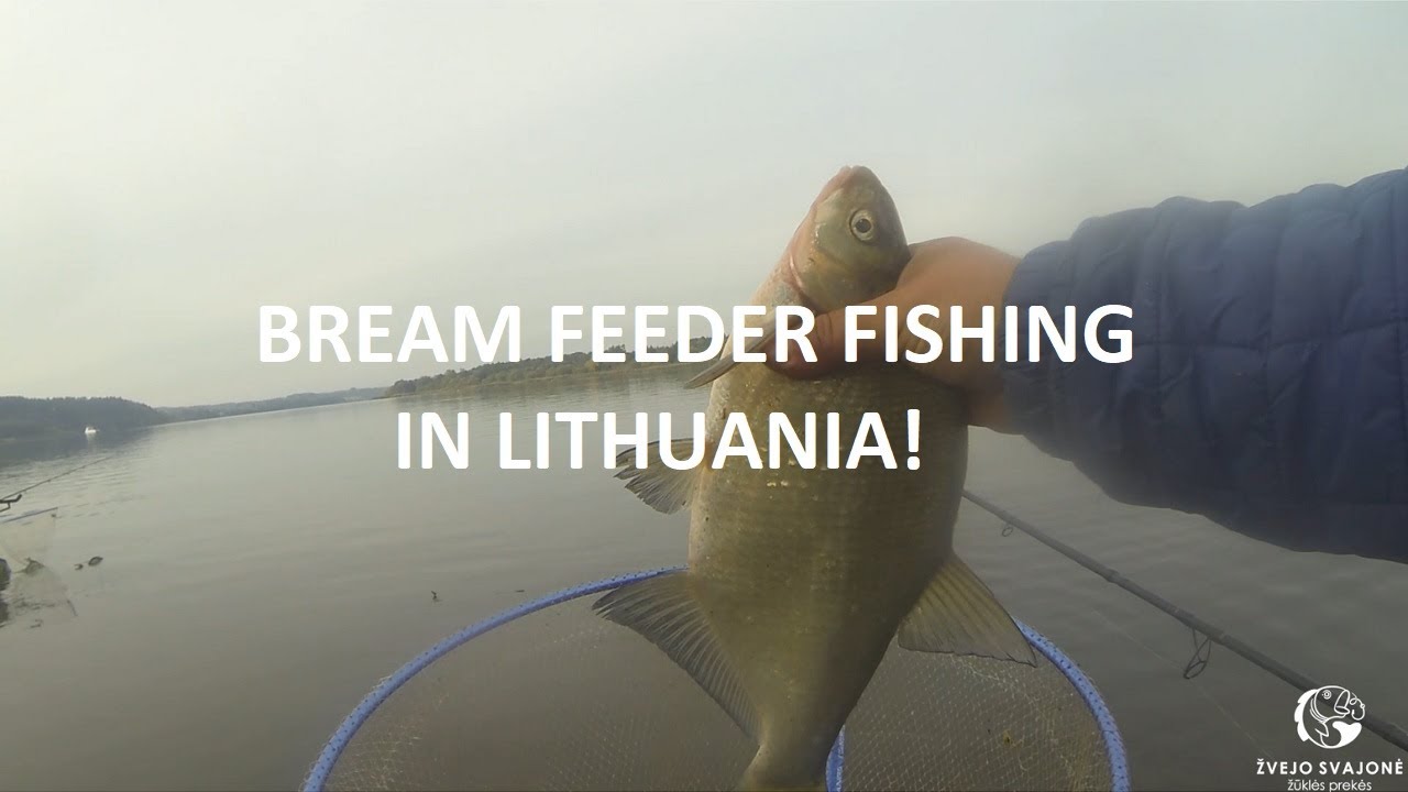 BREAM FEEDER FISHING IN LITHUANIA! WHAT A BITES! (ENG VERSION) - YouTube