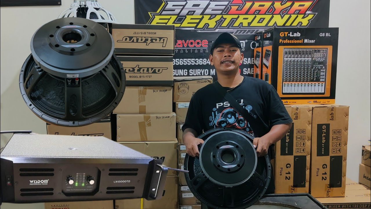 SPEAKER WISDOM 18 P550 , SPESIAL NGUK NGUK , - YouTube