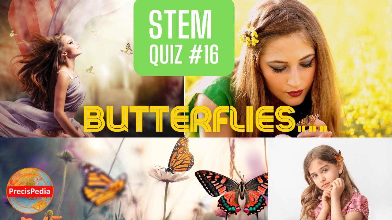 STEM Championship Quiz || STEM Quiz #16 || STEM Skills || Butterflies ...