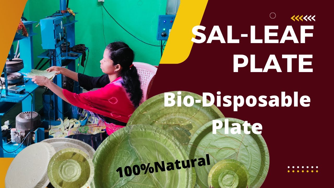 Sal Leaf Plate Manufacturing In Udala I Bio Disposable Plate I Eco Friendly Disposable Plate Sal Leaf Plate Manufacturing In Udala I Bio Disposable Plate I Eco Friendly Disposable Plate