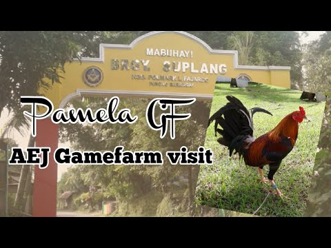 AEJ gamefarm visit - YouTube