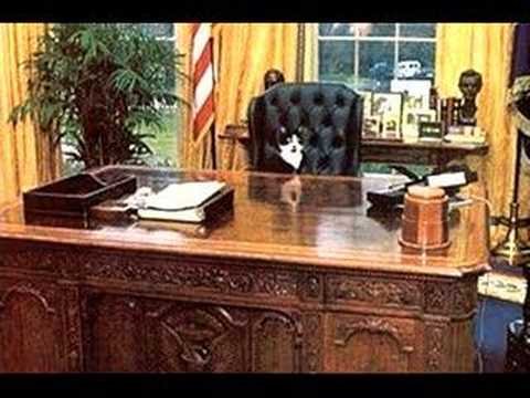 Socks the Cat 4 President/3rd Party Write-In - YouTube