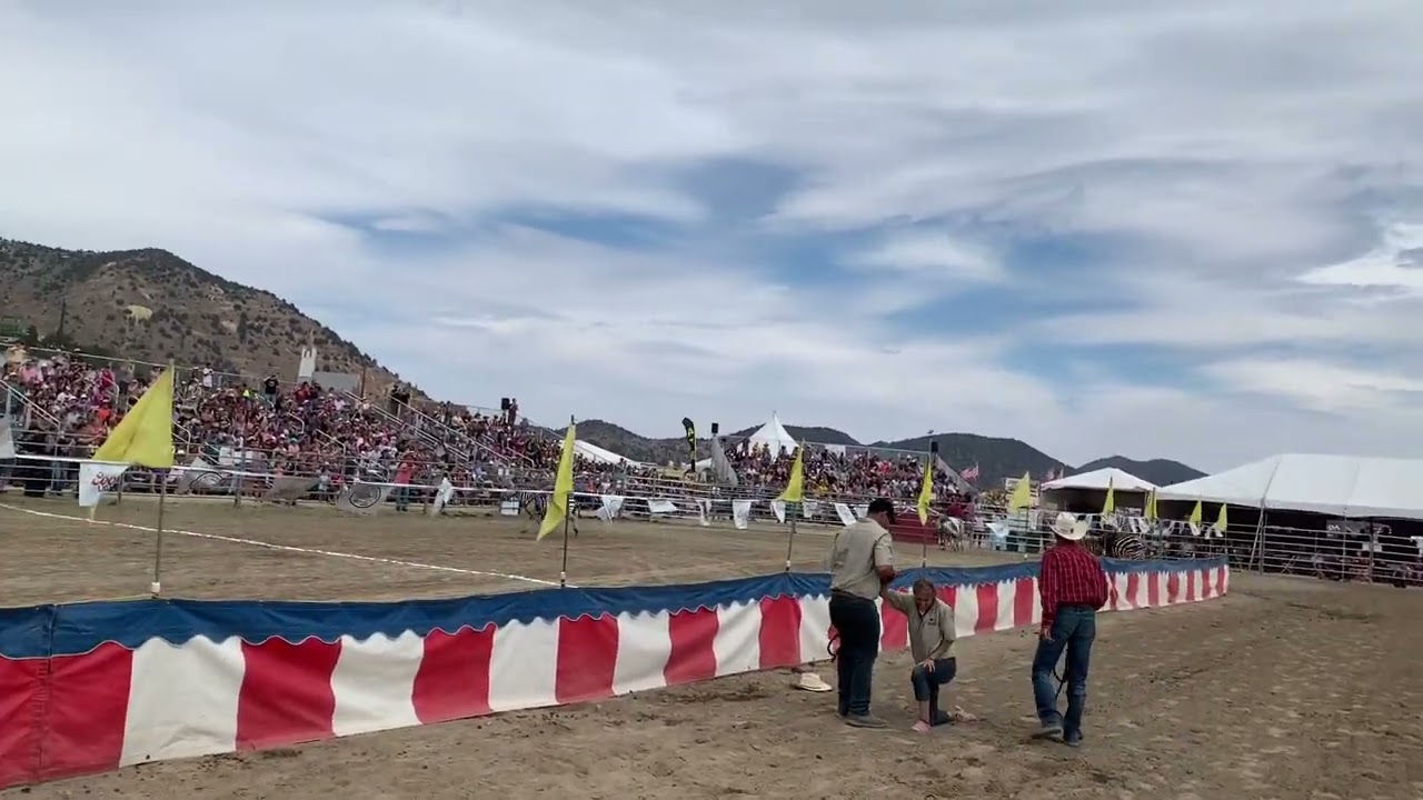 2022 Virginia City Camel and Ostrich Races — Zebra race - YouTube