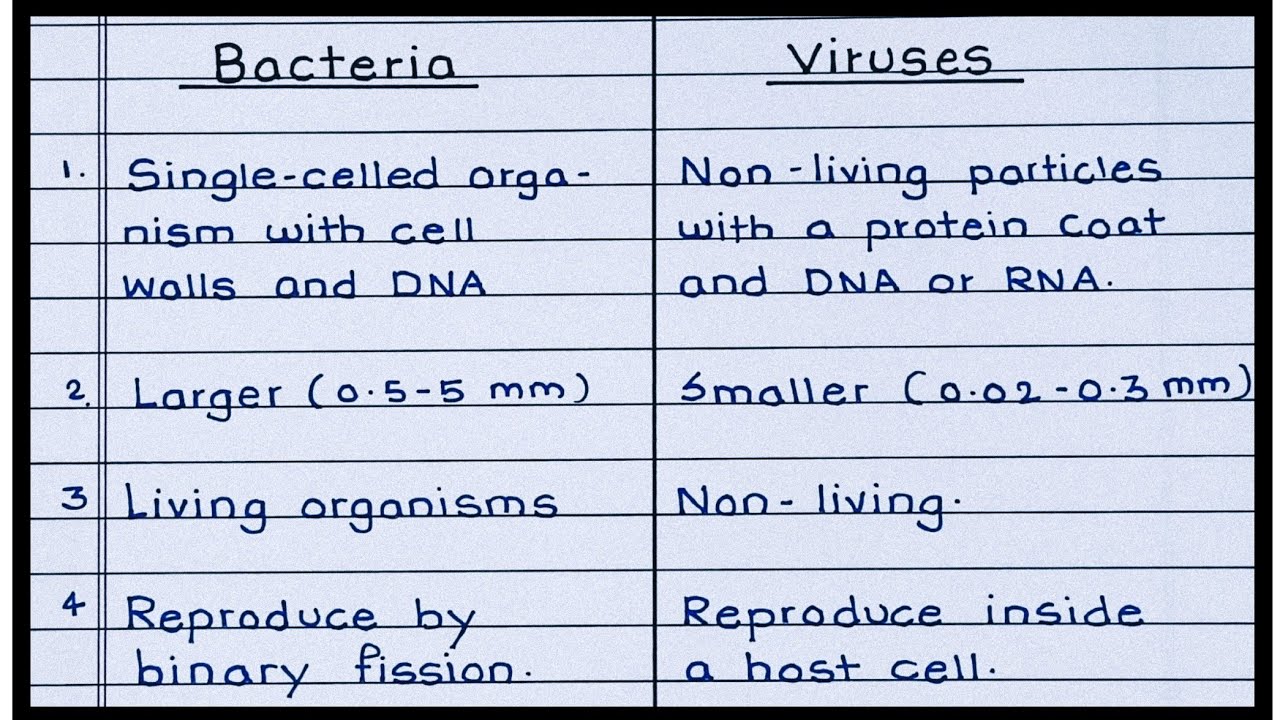 Difference between bacteria and viruses || Science | Biology | Uplearn ...
