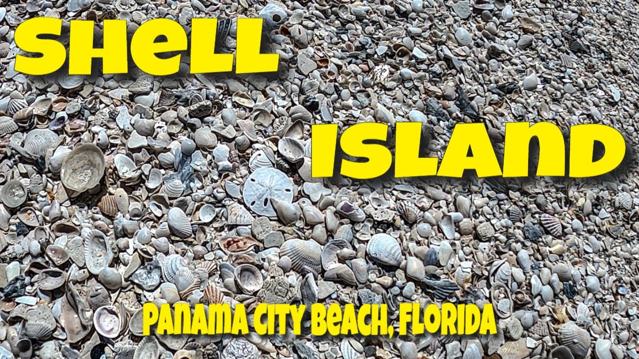 SHELLING SHELL Island, Panama City Beach, Florida - YouTube
