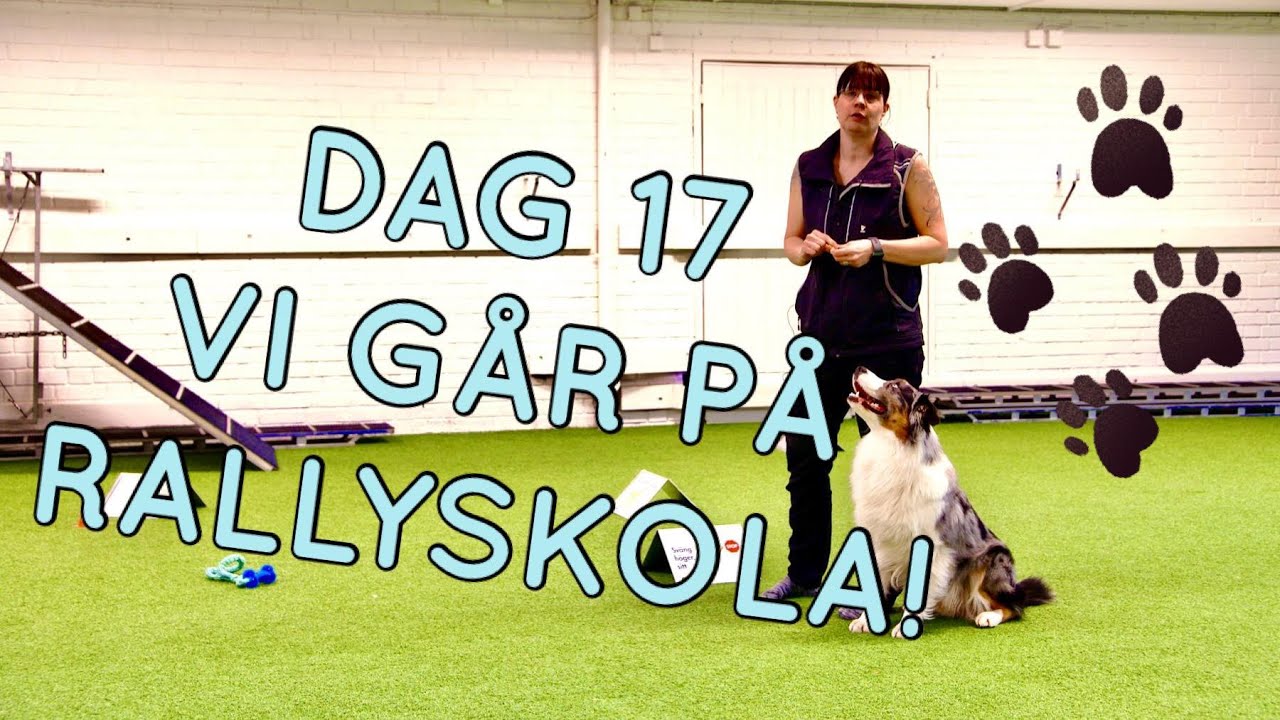 Dag 17 av 30 - Rallylydnad från grunden till mästare! - YouTube