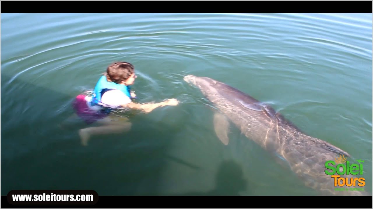 SOLEITOURS TV. Disfruta un Tour por la Bahia de Topolobampo y conoce a ...