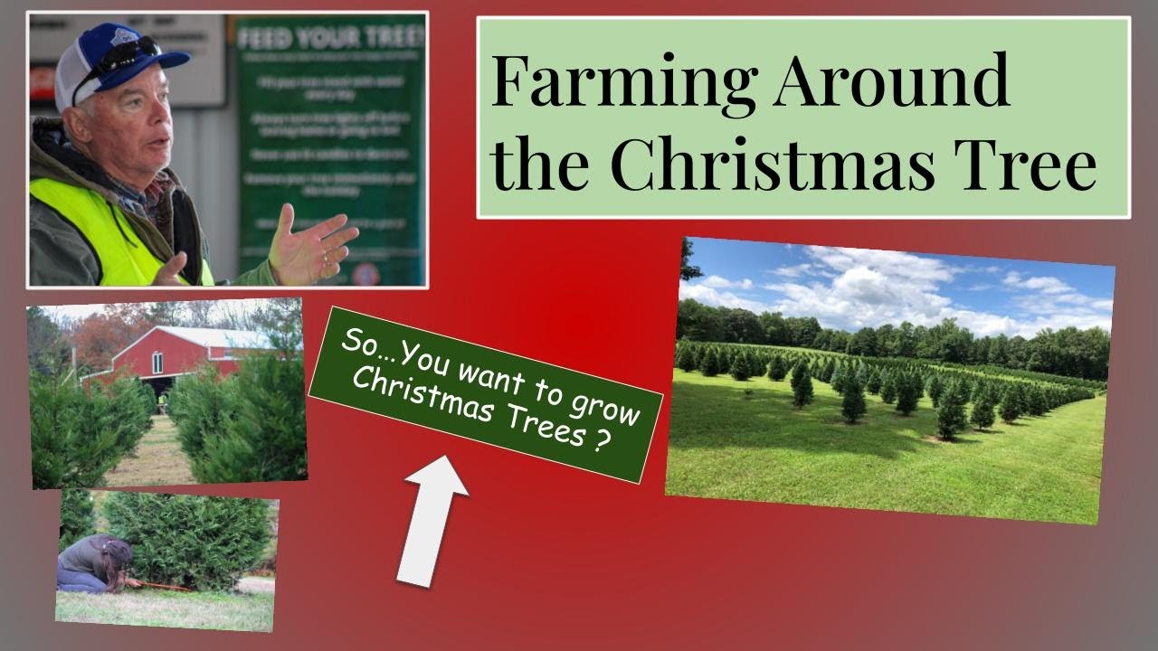 Farming Around the Christmas Tree 30 HD 1080p - YouTube