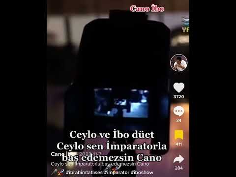 Ceylan etek sarı