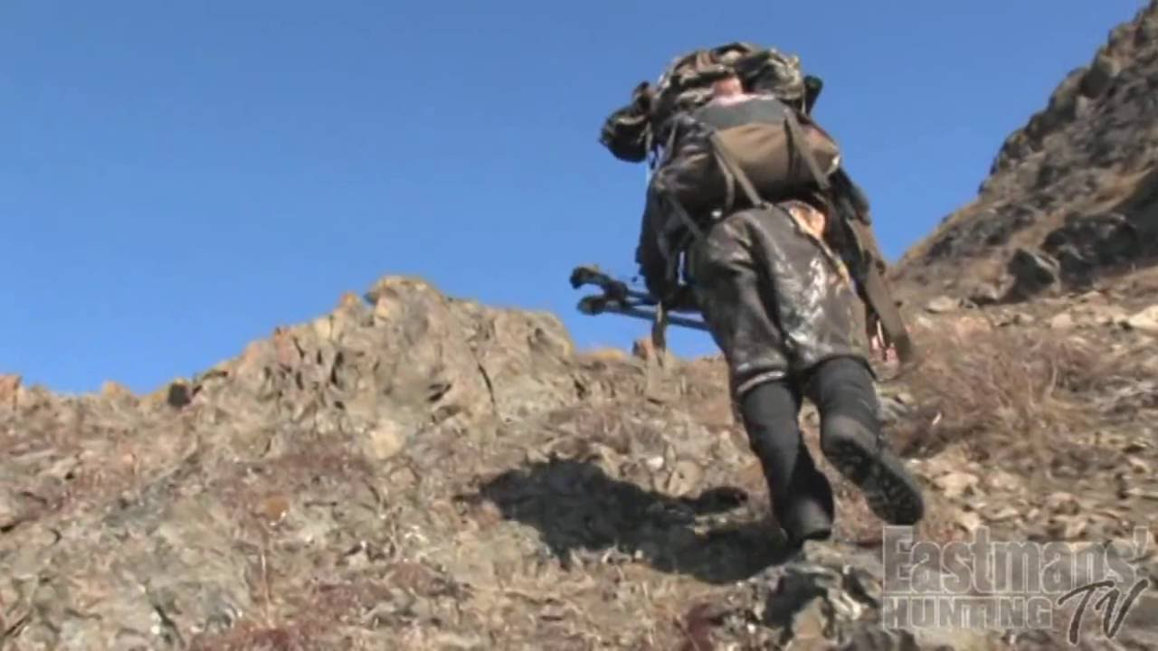 Cam & Roy's Dall Sheep Hunt on Pioneer Peak (RAW and REAL footage ...