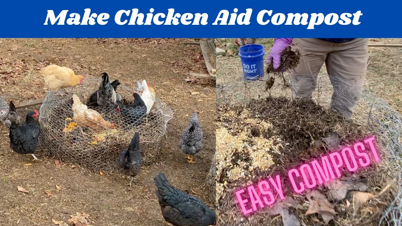 Easy Compost - Use Your Chickens! Part 1 - YouTube