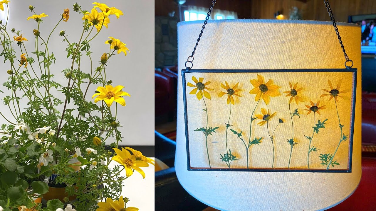 Flower Pressed in The Glass Frame I Hanging Glass Window Decoration I ...