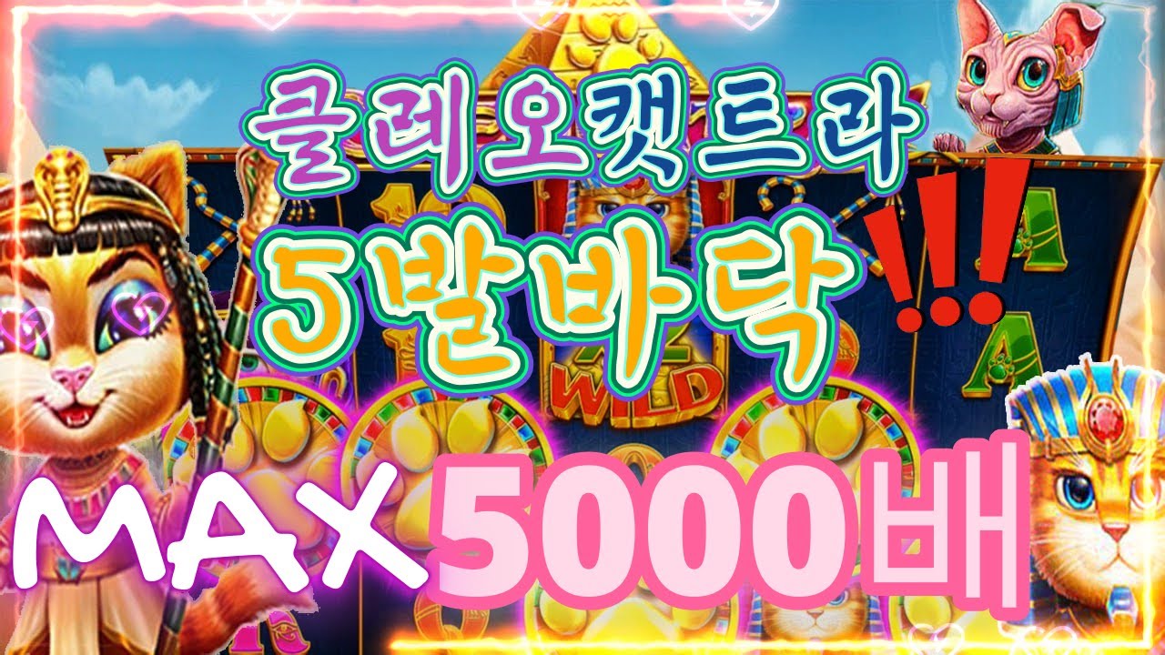 [슬롯][프라그마틱] 클레오 캣트라 : CLEO CATRA MAX WIN! [온슬롯] - YouTube
