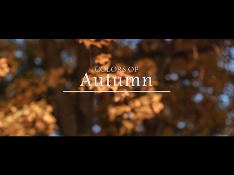 Colors of Autumn HD