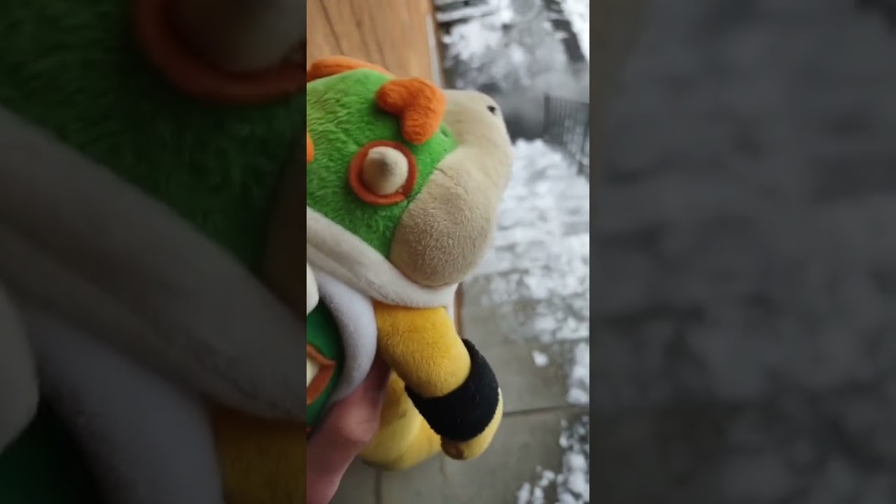 Bowser Jr is scared - YouTube
