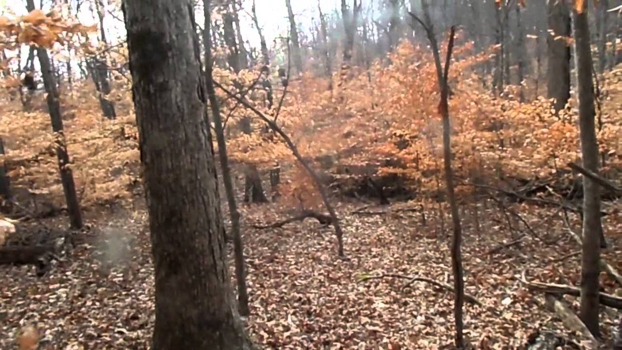 Knob State Forest Northside - YouTube