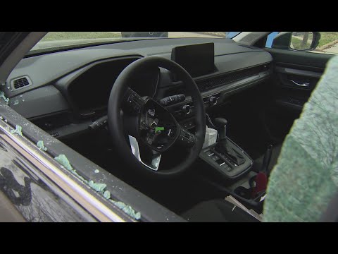 Thieves break into multiple cars and steal airbags on Chicago's Northwest Side overnight, police say