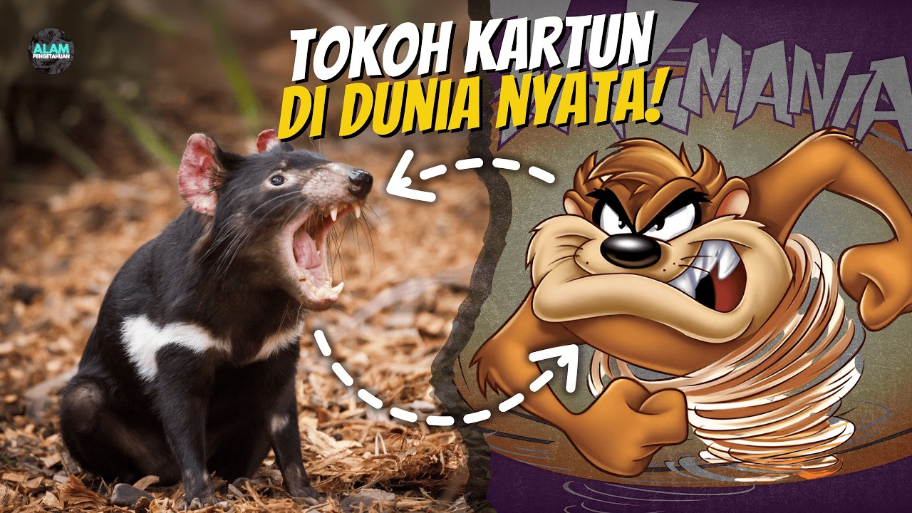 Mereka Nyata Inilah Wujud Asli Karakter Kartun Yang Selama Ini Kita ...