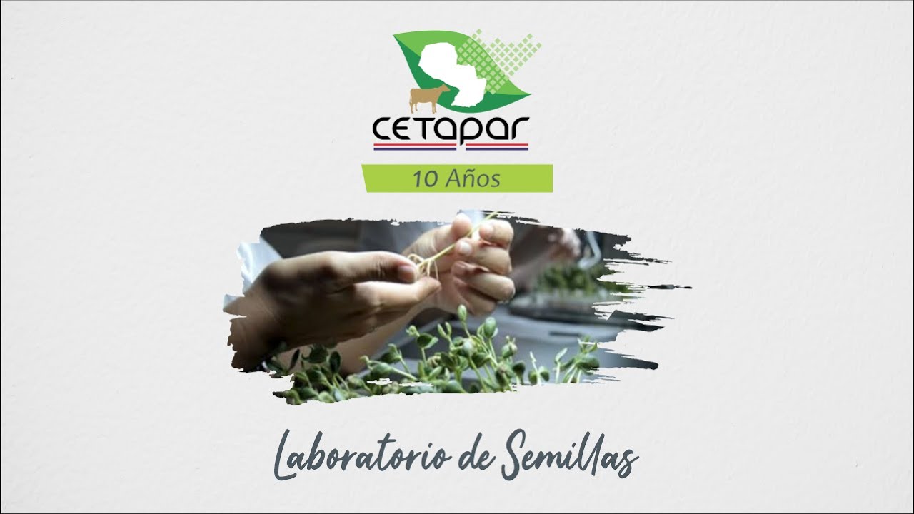 Laboratorio de Semillas - Fundación Nikkei CETAPAR - YouTube