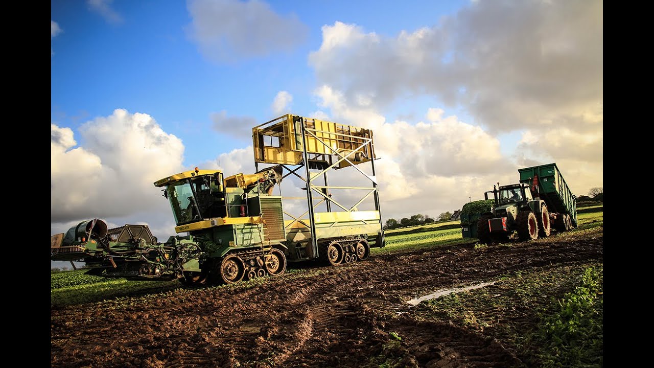 Récolte des épinards - PLOEGER MKC-4TR - TRISKALIA - spinach harvest ...