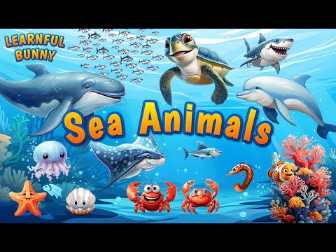 Sea Animals for Kids | 海洋生物 學英文 Learnful Bunny | Learn English for Kids ...