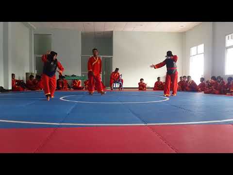 BERCADAR??? RUPANYA JAGO PENCAK SILAT (Tanding Non resmi)