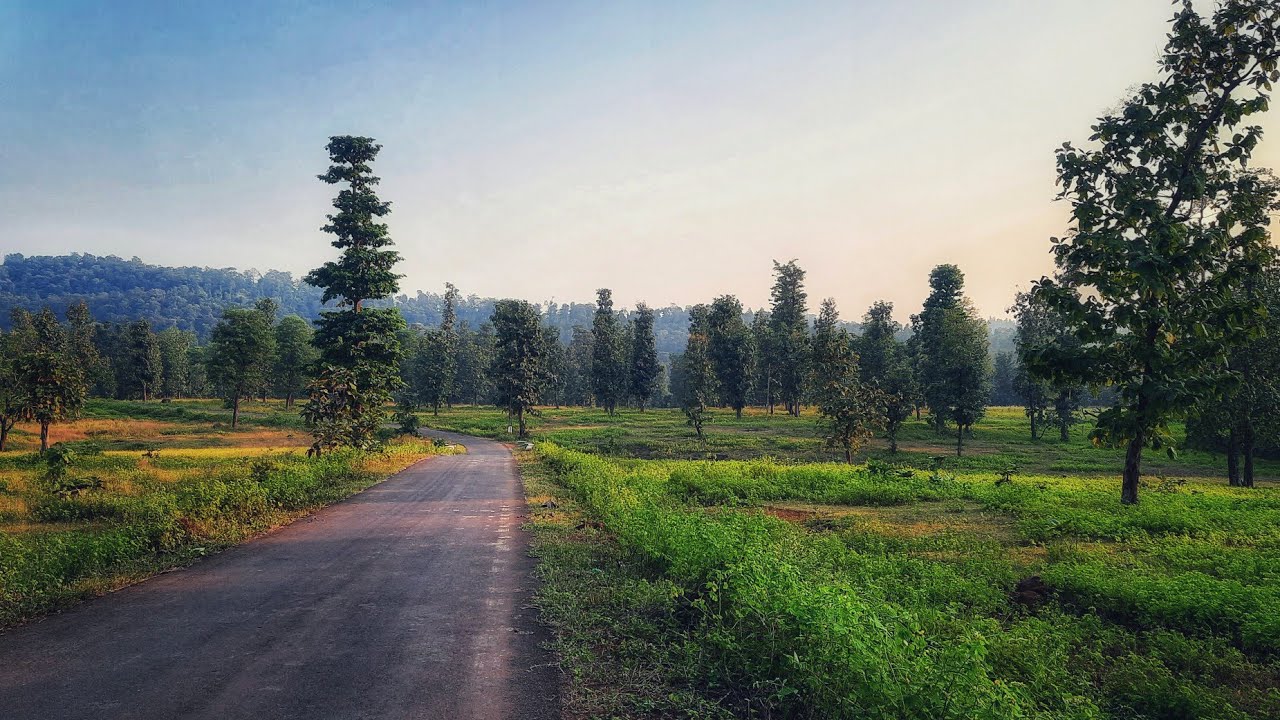 Dang Forest Stay 2022 | Green and Dense Forest | A must visit place ...