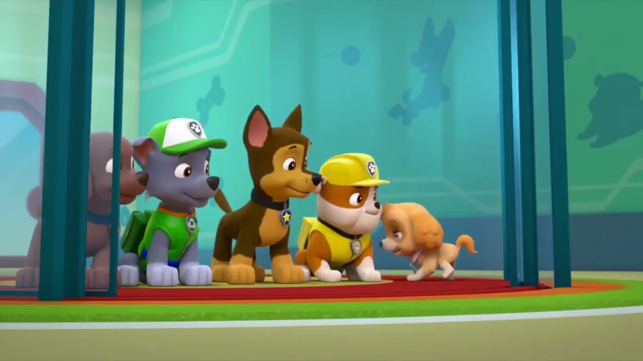 PAW Patrol | Marshall's Weekly Wipeouts! | Season 4 | Pups Save a Frog ...