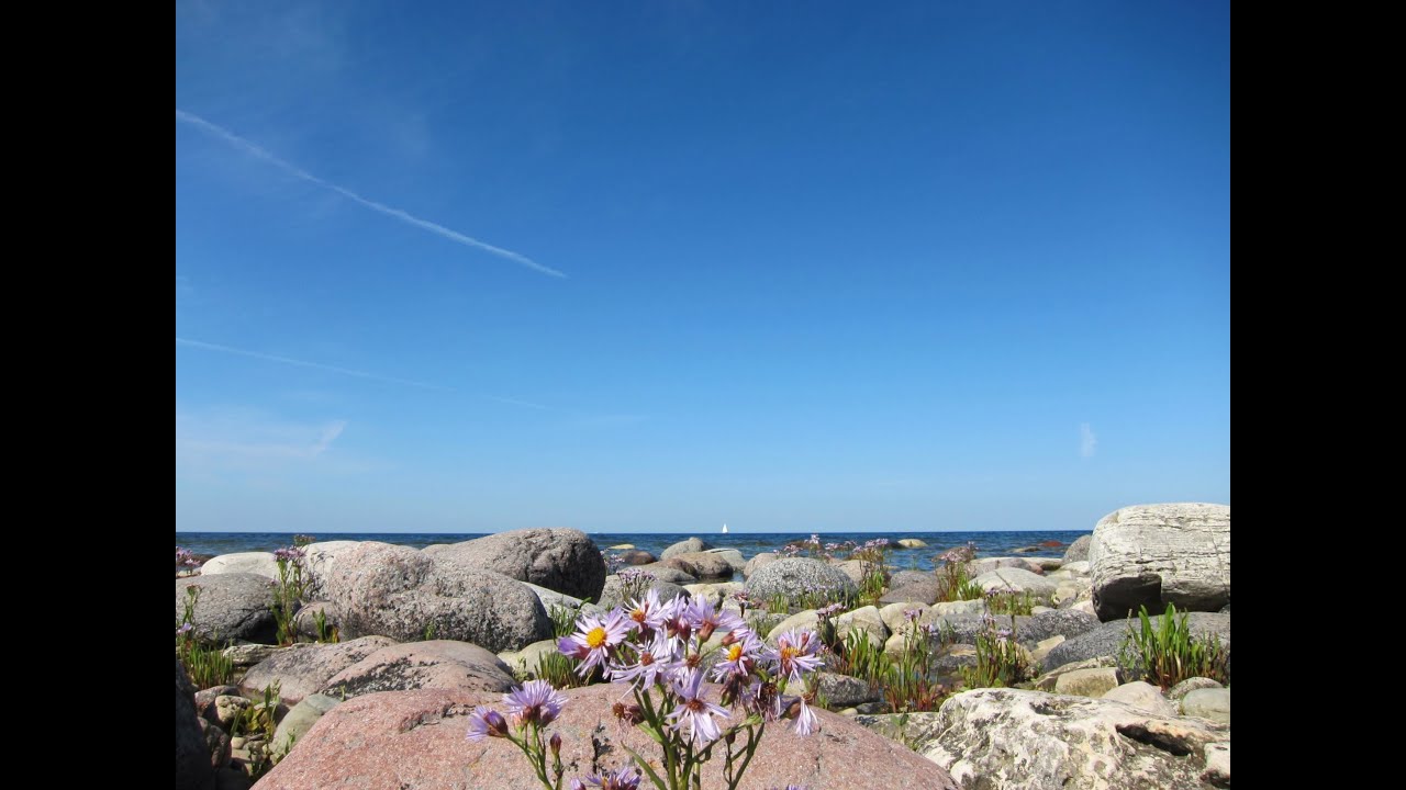 Sommarbilder - YouTube