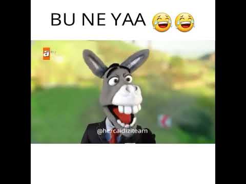 Haberci eşek ve miran